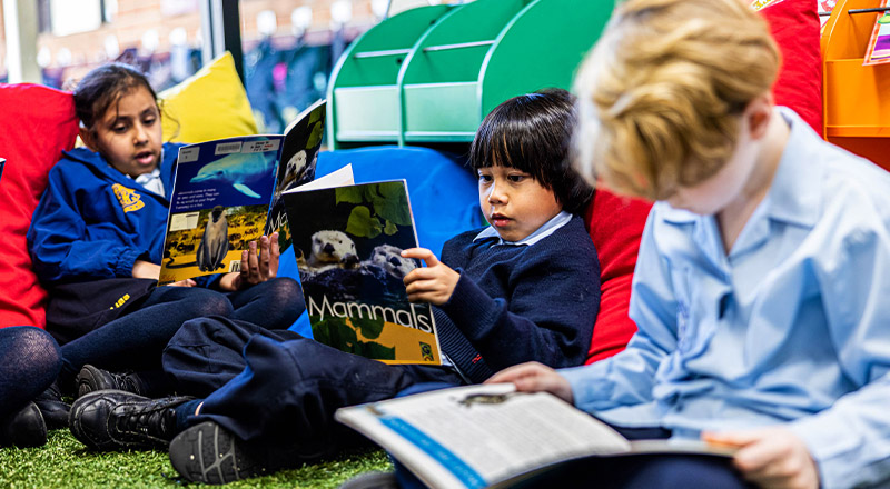 Our Library | St Bernadette's Lalor Park